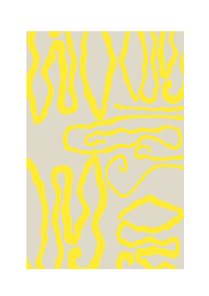 Scribbly Gum Print – Nicola Cerini